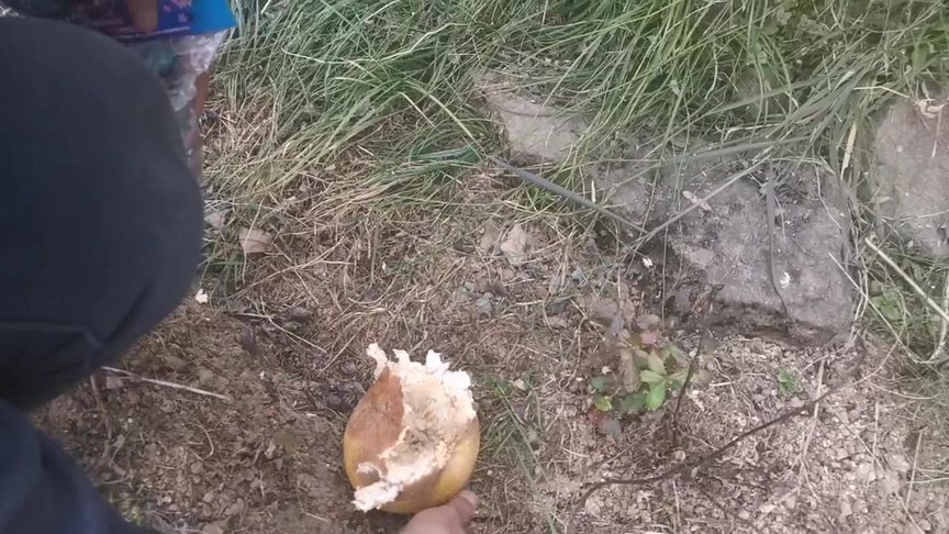 爆竹的童年记忆(爆炸效果惊人)