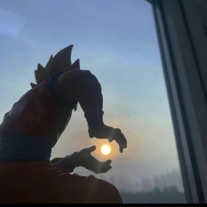 拥抱明天的太阳1 