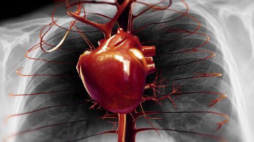 糖尿病心肌病元凶竟是细胞凋亡?3招逆转致命伤害,心脏重获新生!