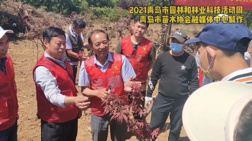 2021园林和林业科技活动周 #公益 #燃情梦想
