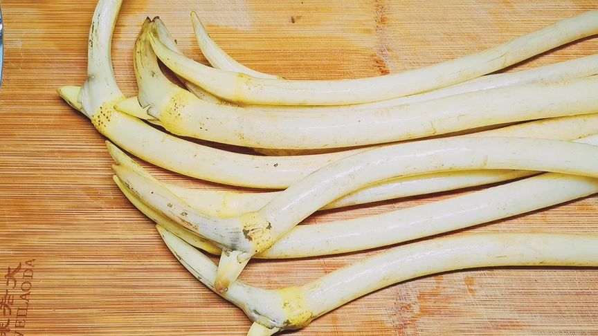 市场藕带那么多,如何选不吃亏,笔尖藕带最好吃,全身洁白不要买