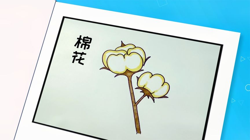 为你画一株雪白的棉花简笔画,请笑纳!