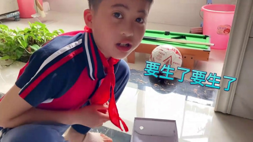 蚕宝宝要生了,孩子好激动,回想自己小时候,养猫养狗还放过牛