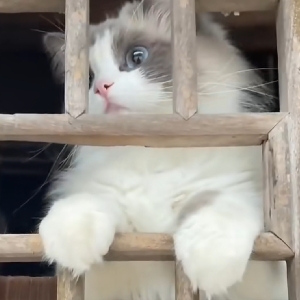 海水心 