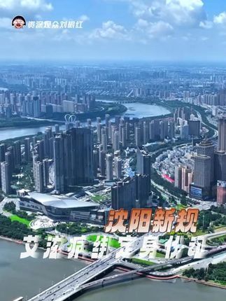 身份证功能再加一,沈阳你真是好样的,建议全国学习!#沈阳 #身份证 #...