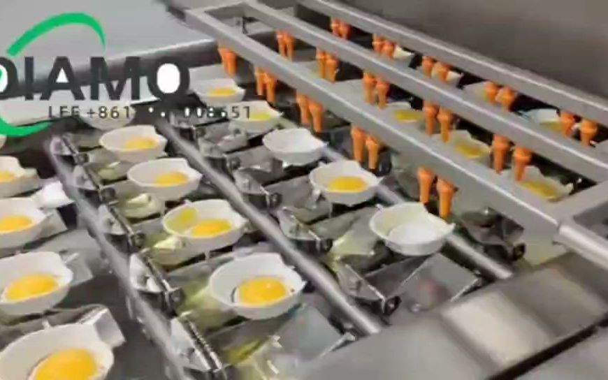 敲蛋机操作规程 全自动蛋清蛋黄分离机 不锈钢蛋液分离机 敲蛋机