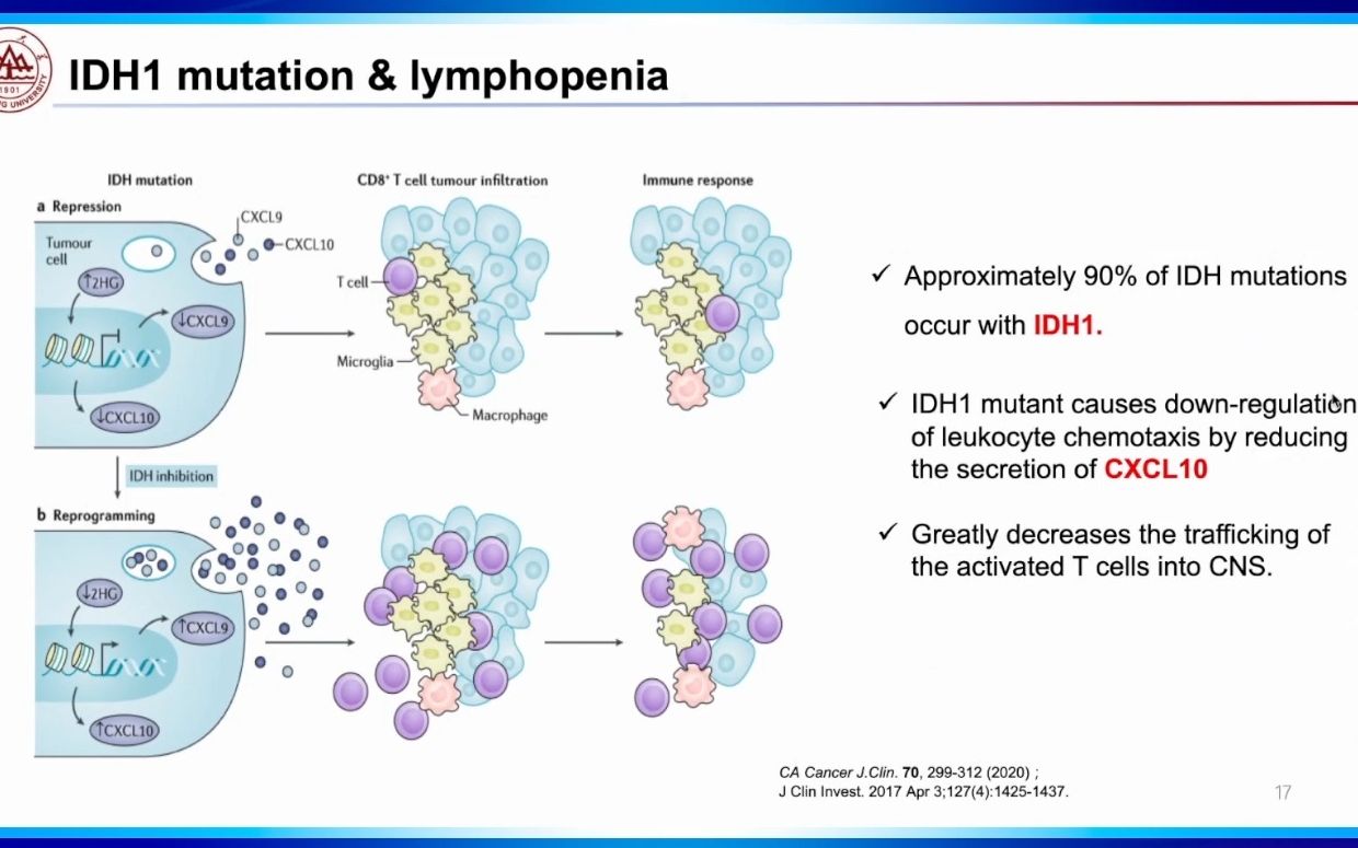 20220821-山东大学药学院姜新义-靶向清除脑肿瘤药物递送系统