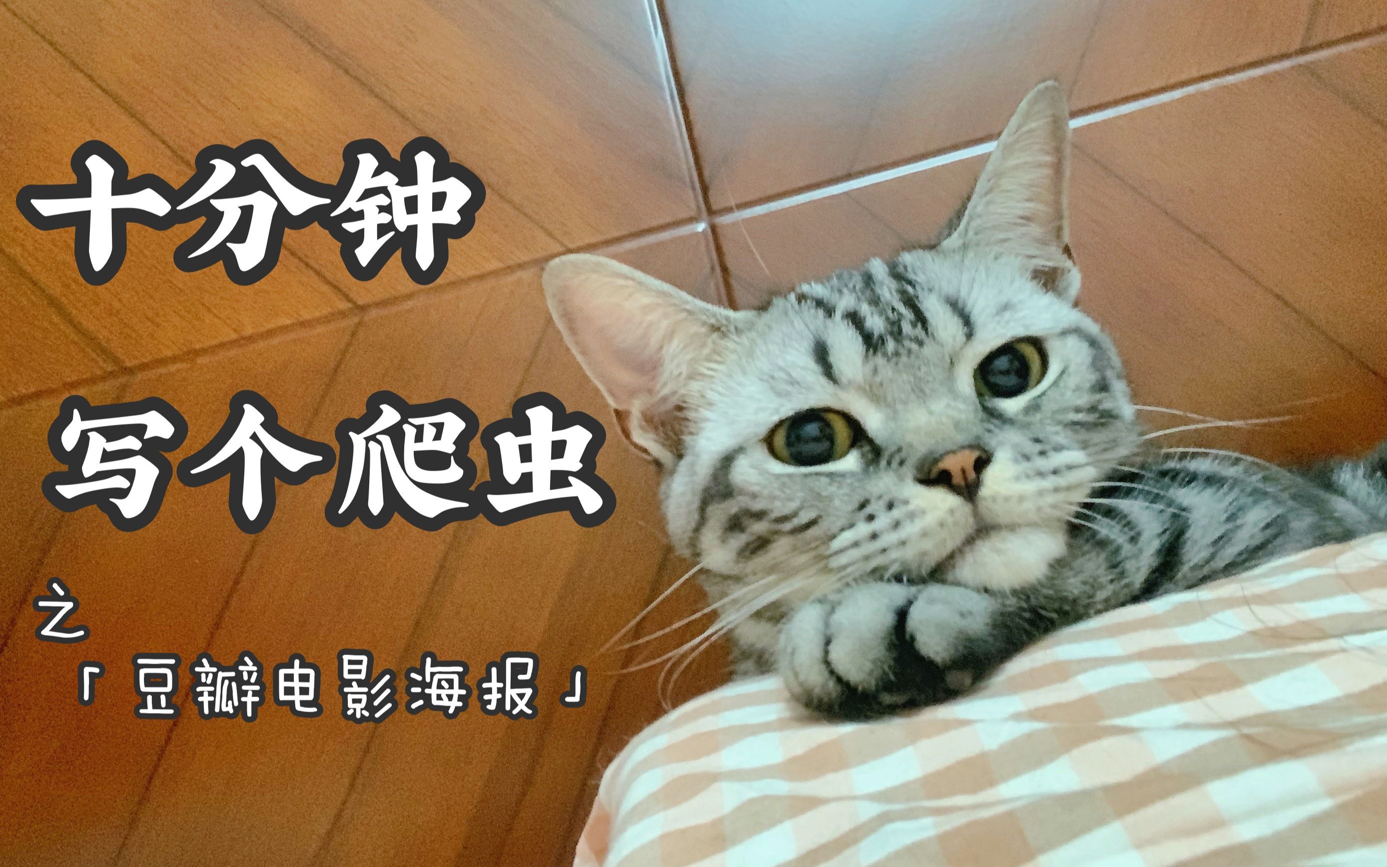 【爬虫】十分钟学会爬取豆瓣电影海报