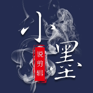 小墨说剪辑 