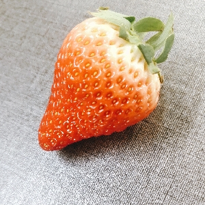 曦不檬 