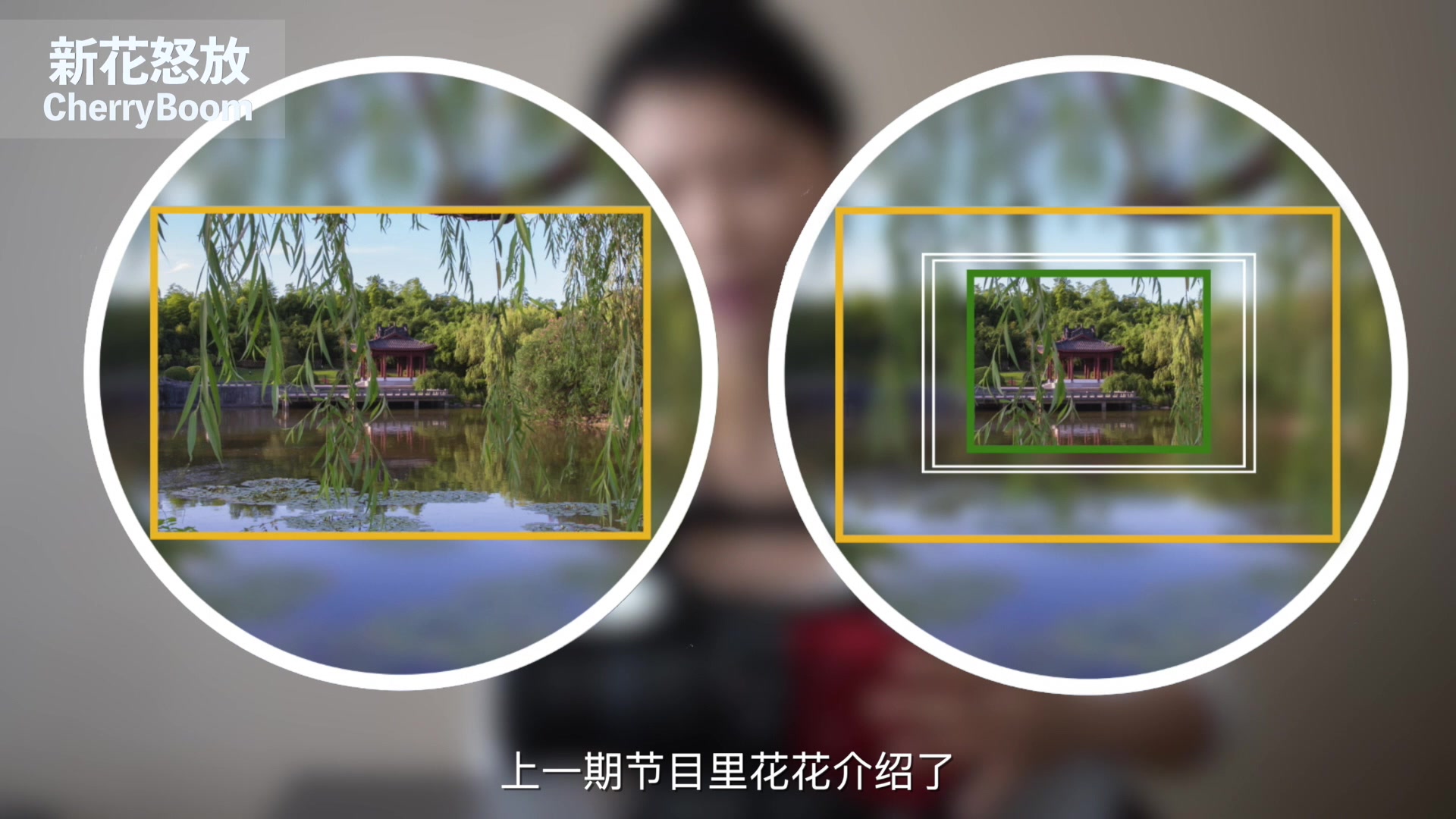 【DVX200一体机分享】第二趴——内在性能大介绍:画幅、4K、V-Log...