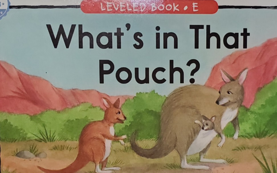 What's in that pouch?