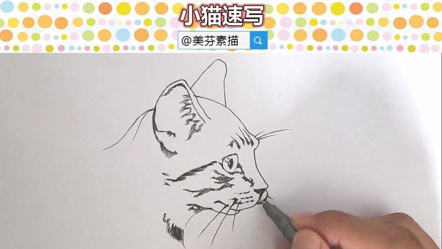 可爱小猫咪速写画法步骤介绍!超萌小动物简笔画手绘视频教程