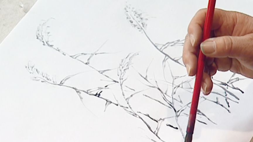 五枝一组拆开画,笔枯画芦花 画复杂的秋天芦苇荡技法①