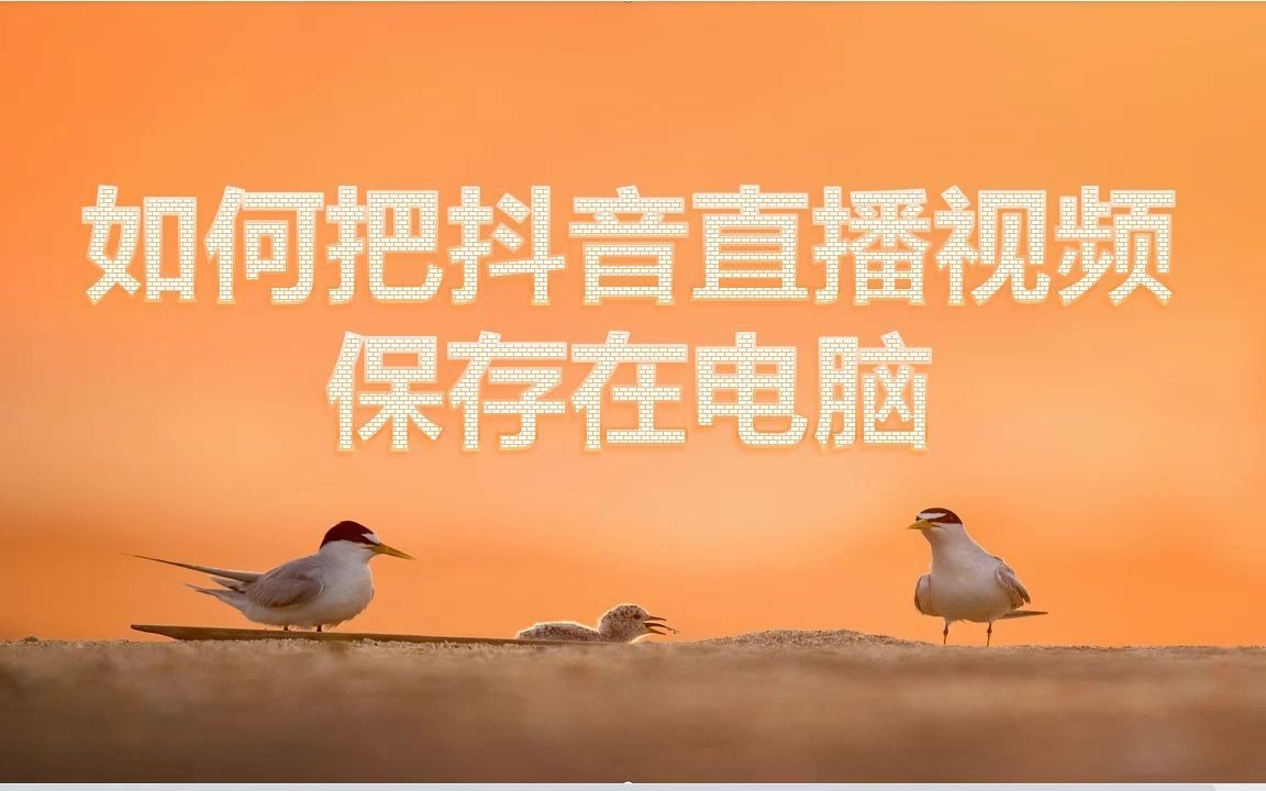 如何把抖音直播视频保存在电脑