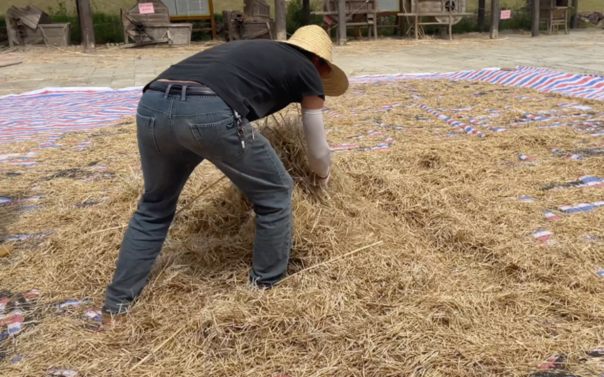 实拍武汉光谷有田劳动教育实践基地美景,带娃看油菜梯田老风拨机