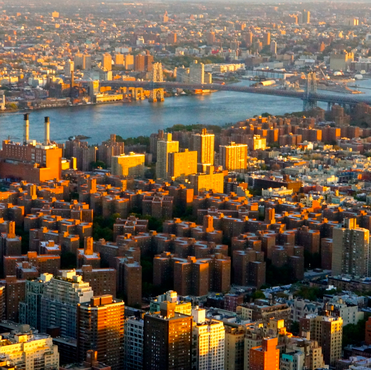 喜欢吃糖的小胖子 