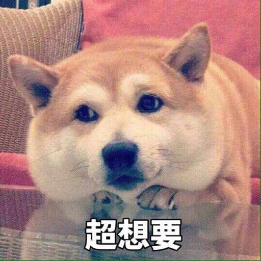 单单鞋 