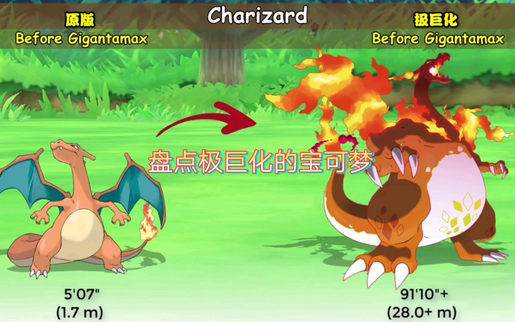 宝可梦大盘点之能超极巨化的宝可梦