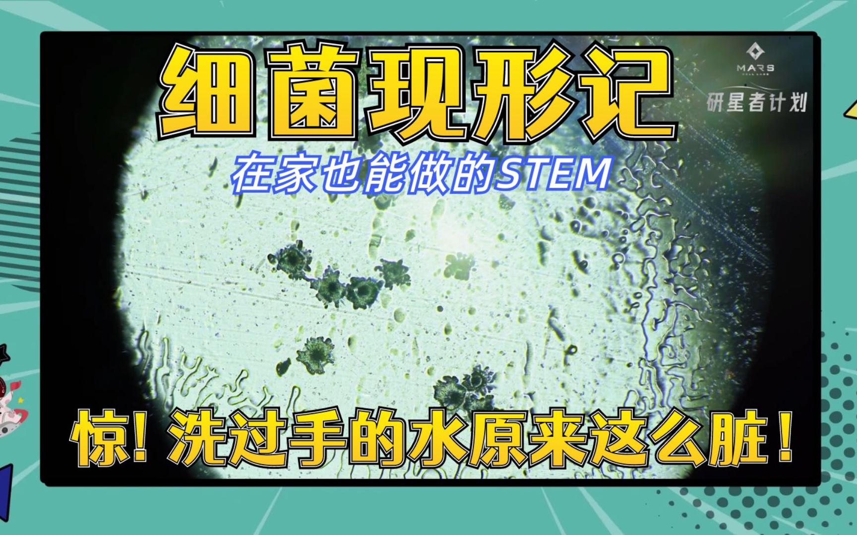 【在家也能做的STEM科创】活动11:细菌现形记
