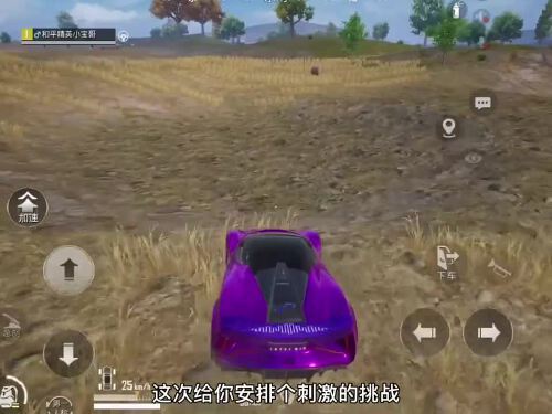 和平精英:我这辆跑车路特斯你肯定偷不走
