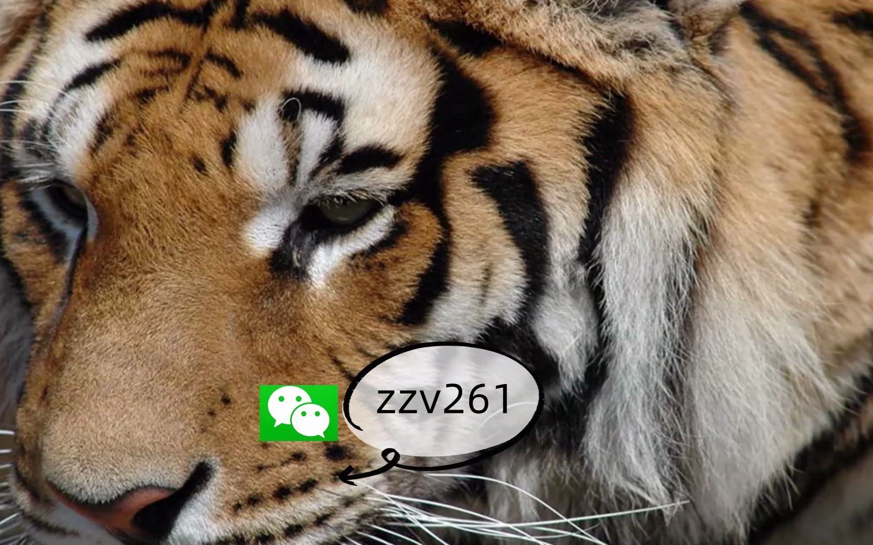 企业免疫力急救包