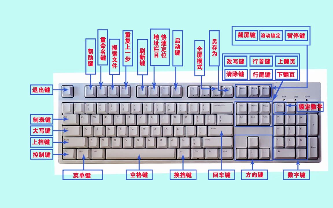 足不出户在家学全套电脑办公软件,office办公技巧教程