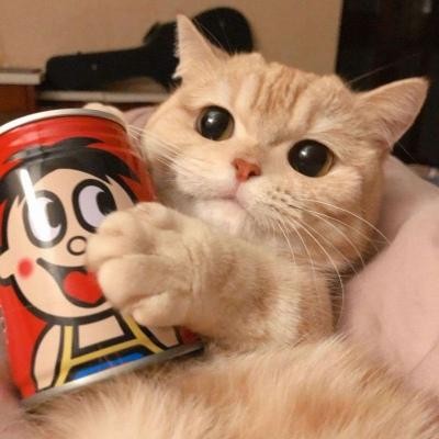 S玄离 