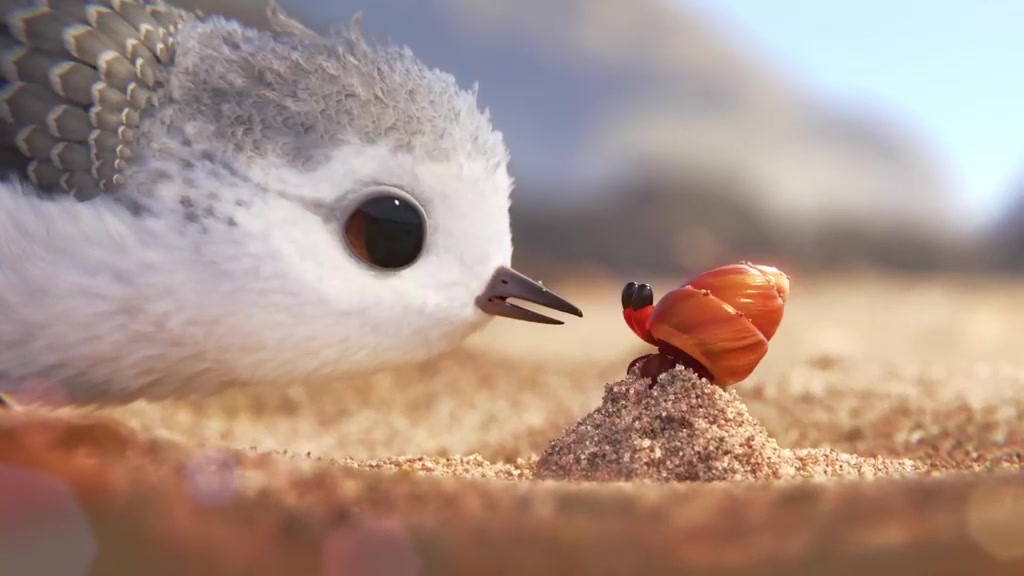 第 89 届奥斯卡最佳动画短片的皮克斯动画短片《鹬》