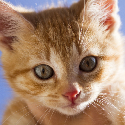 生活技巧有妙招 