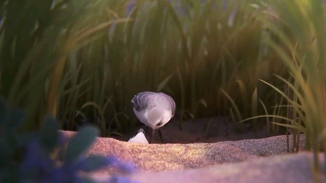 治愈系动画短片《Piper》