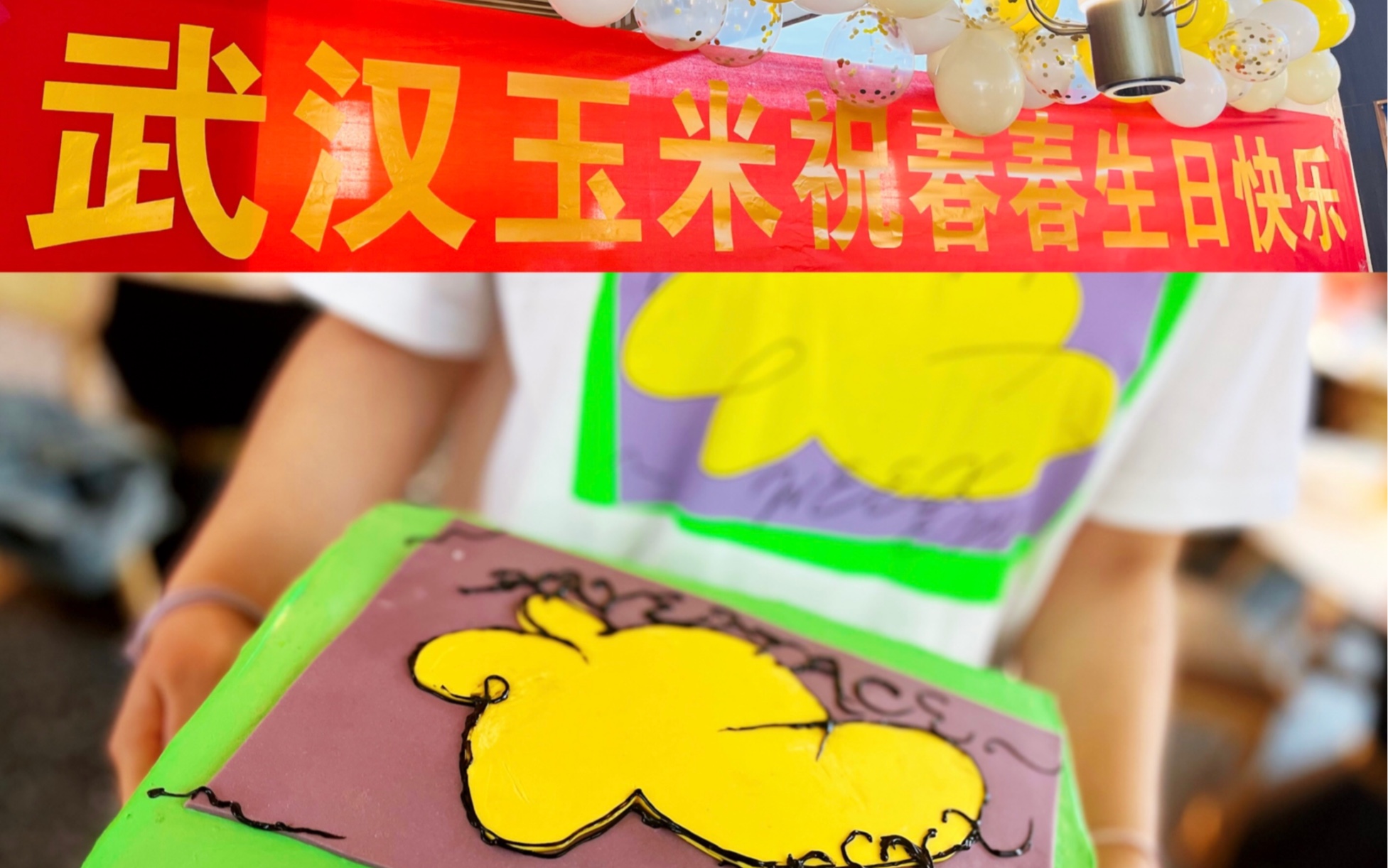 祝李宇春生日快乐!——和你一样(手语版)