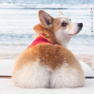 好的车库 