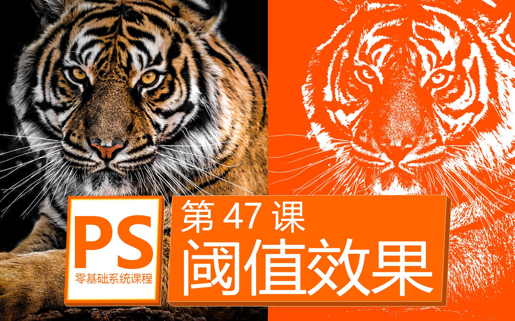 PS零基础系统课,第47课阈值效果,制作简影图片