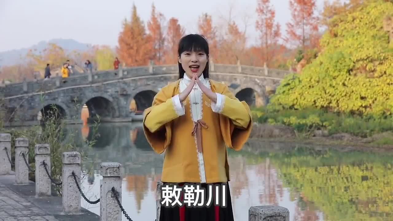 《敕勒歌》天苍苍,野茫茫,风吹草低见牛羊 #古诗手势舞#创作人计划 #...