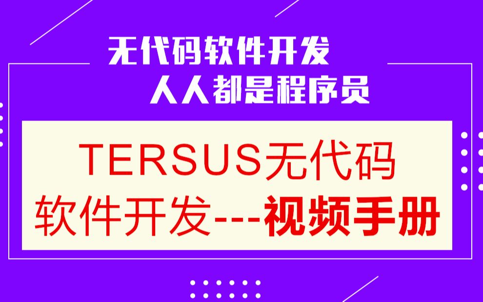 TERSUS无代码软件开发---视频手册