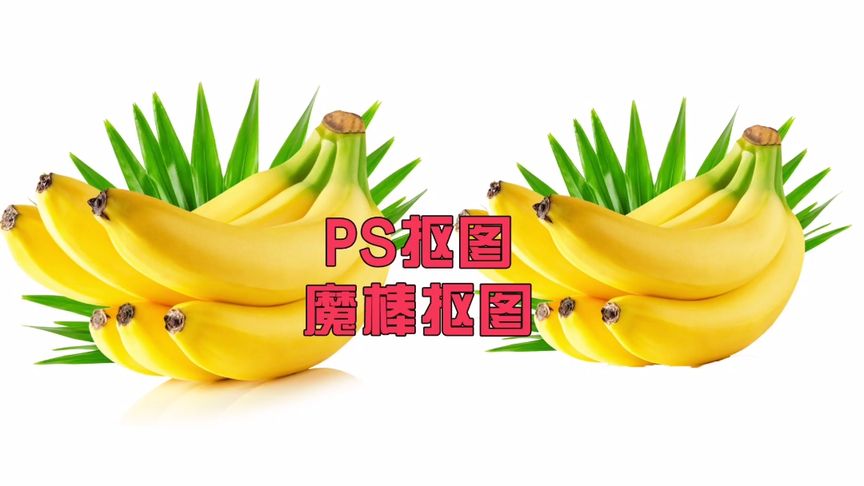 PS抠图技巧:魔棒工具抠图