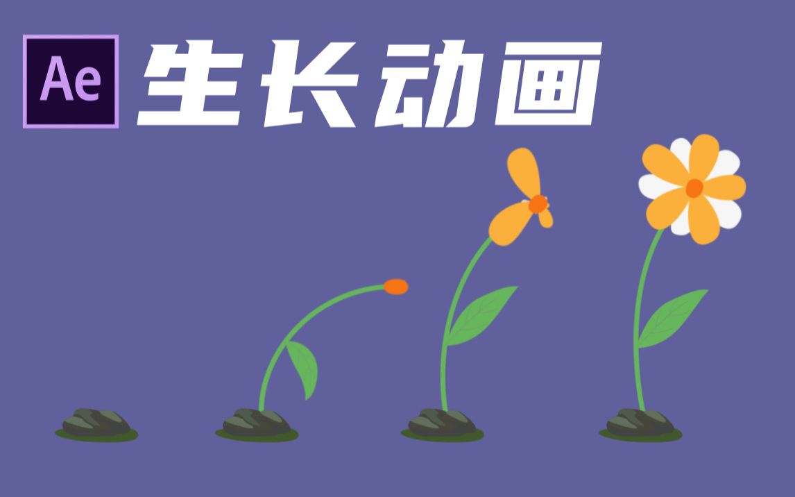 解开用AE制作——植物生长动画的奥秘