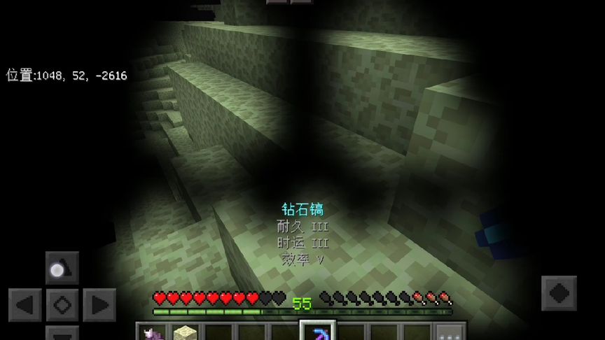 我的世界:假如在mc里的末地进行冒险,寻找末地城