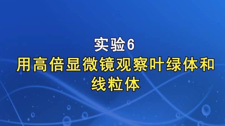 实验6用高倍显微镜观察叶绿体和线粒体