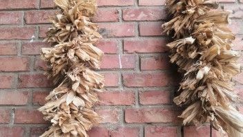 农村娃子带你长见识,玉米的作用你知道几个?