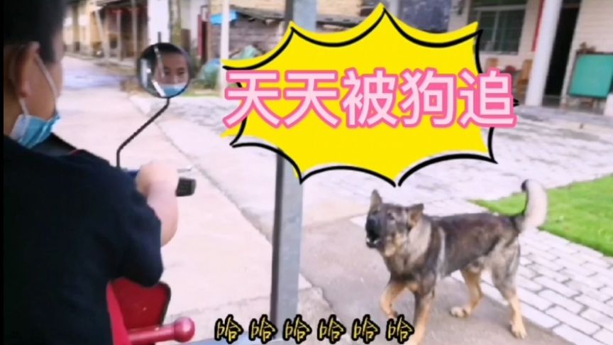 邻居家狗被我们狗咬过一次后记仇,天天狂追我们,怎么办?