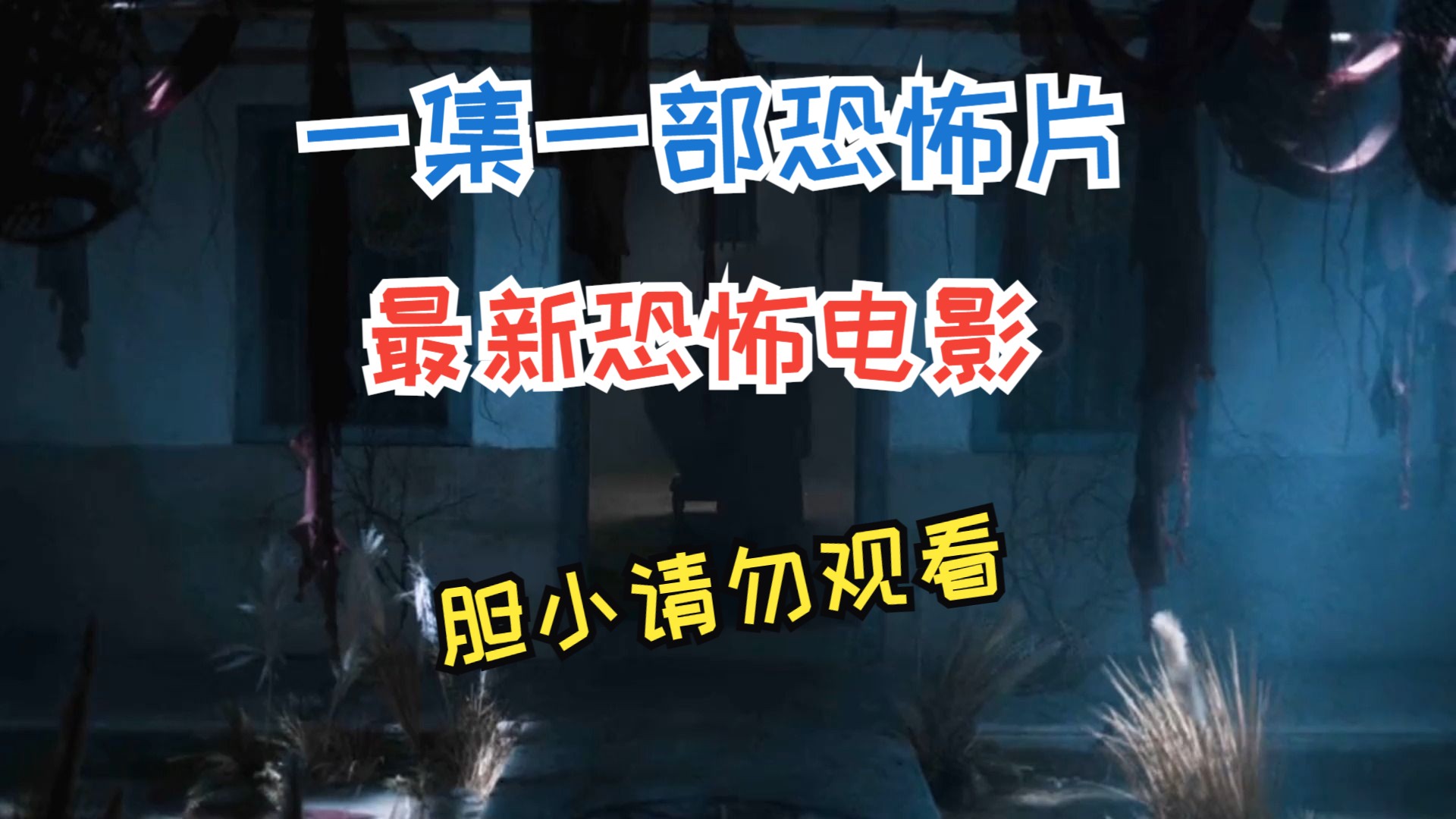 一集一部恐怖片,最新恐怖电影,胆小请勿观看