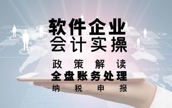 会计实务:软件企业会计---政策解读、全盘账务处理、报税(含增值税即...