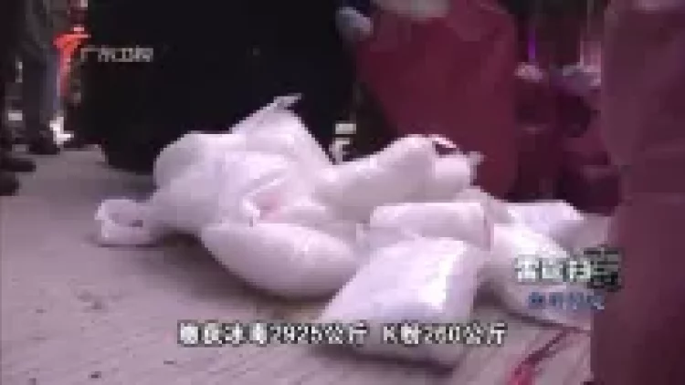 大片陆丰扫毒展示广东民警禁毒决心,场面浩大堪比电影