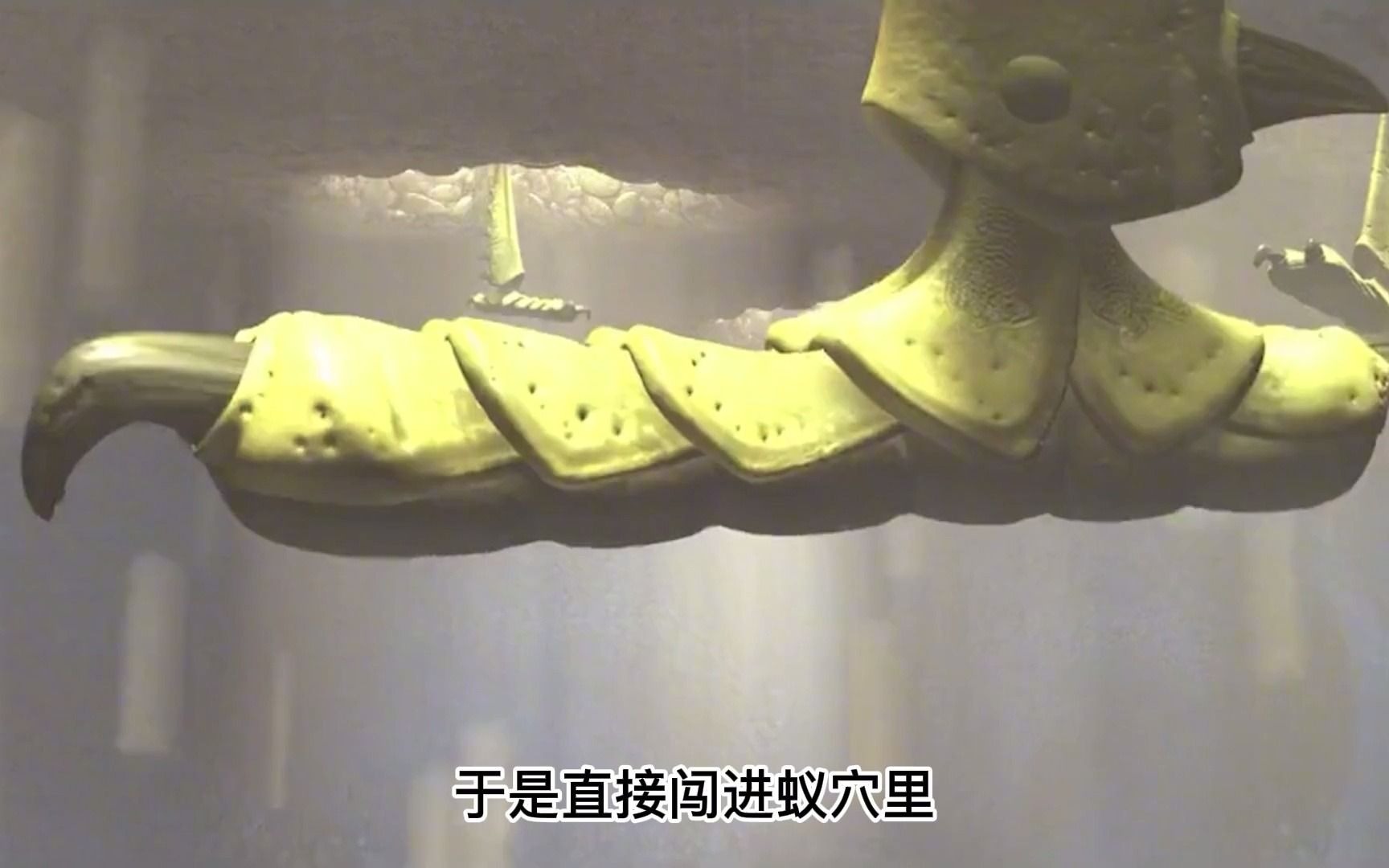 蝗虫经常欺压小动物,蚂蚁与蝗虫展开斗争,动画《虫虫危机》