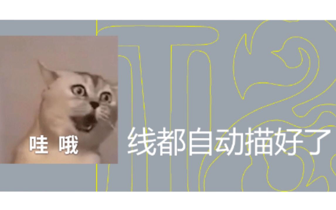 【Rhino/犀牛】哇哦~原来真的有自动描线插件?!