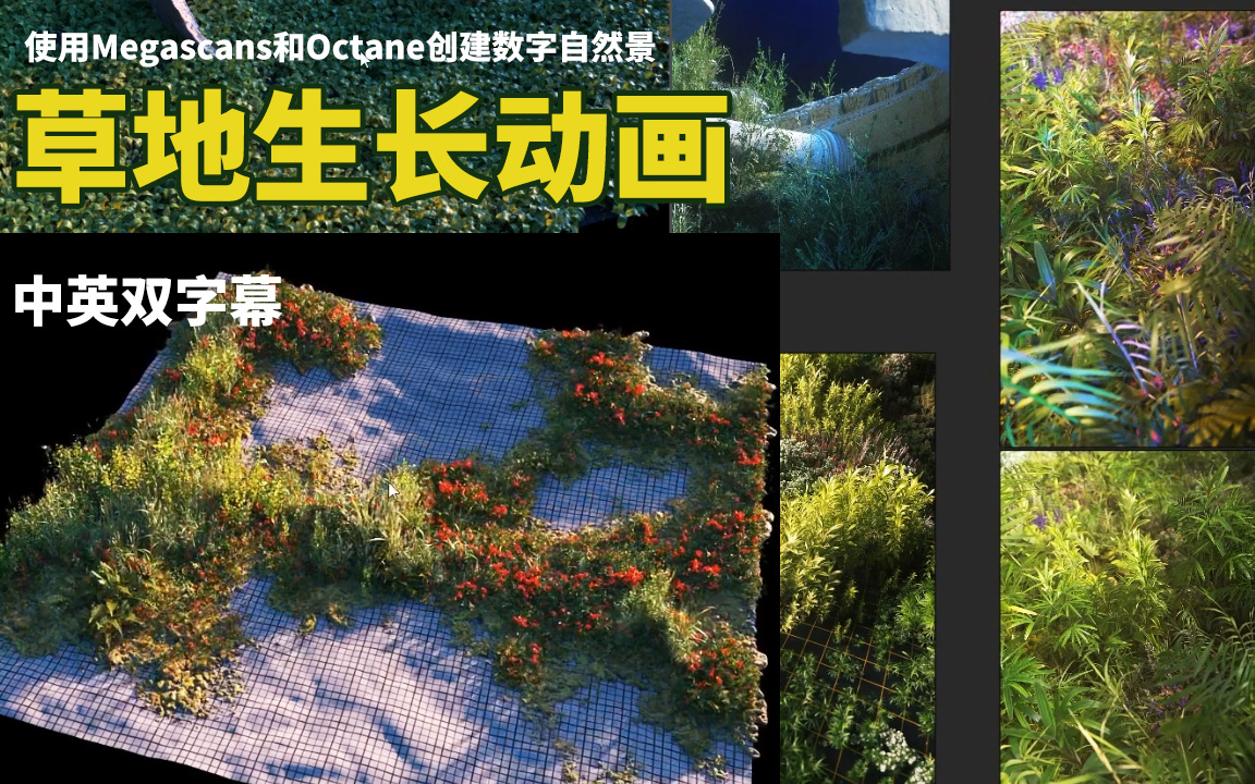 【中英双字幕 C4D教程】使用Megascans和Octane创建数字自然景观...