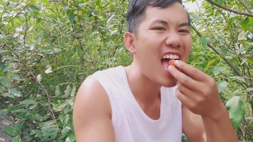 农村不敢吃的构树果实,营养价值高很好吃,小伙第一次吃尝尝味道