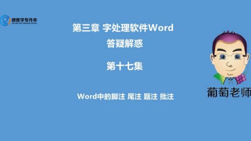 Word答疑解惑:017 Word中的脚注 尾注 题注 批注#山东专升本